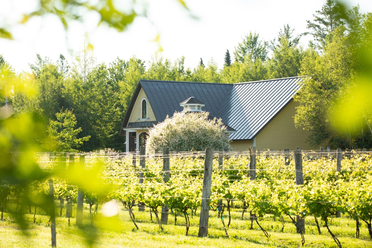 Microbrasserie Siboire Jacques-Cartier - Créateurs de saveurs - Cantons-de-l'Est