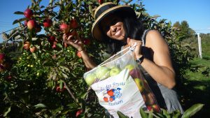 Autocueillette - Souvenirs de cueillette - Créateurs de saveurs ...