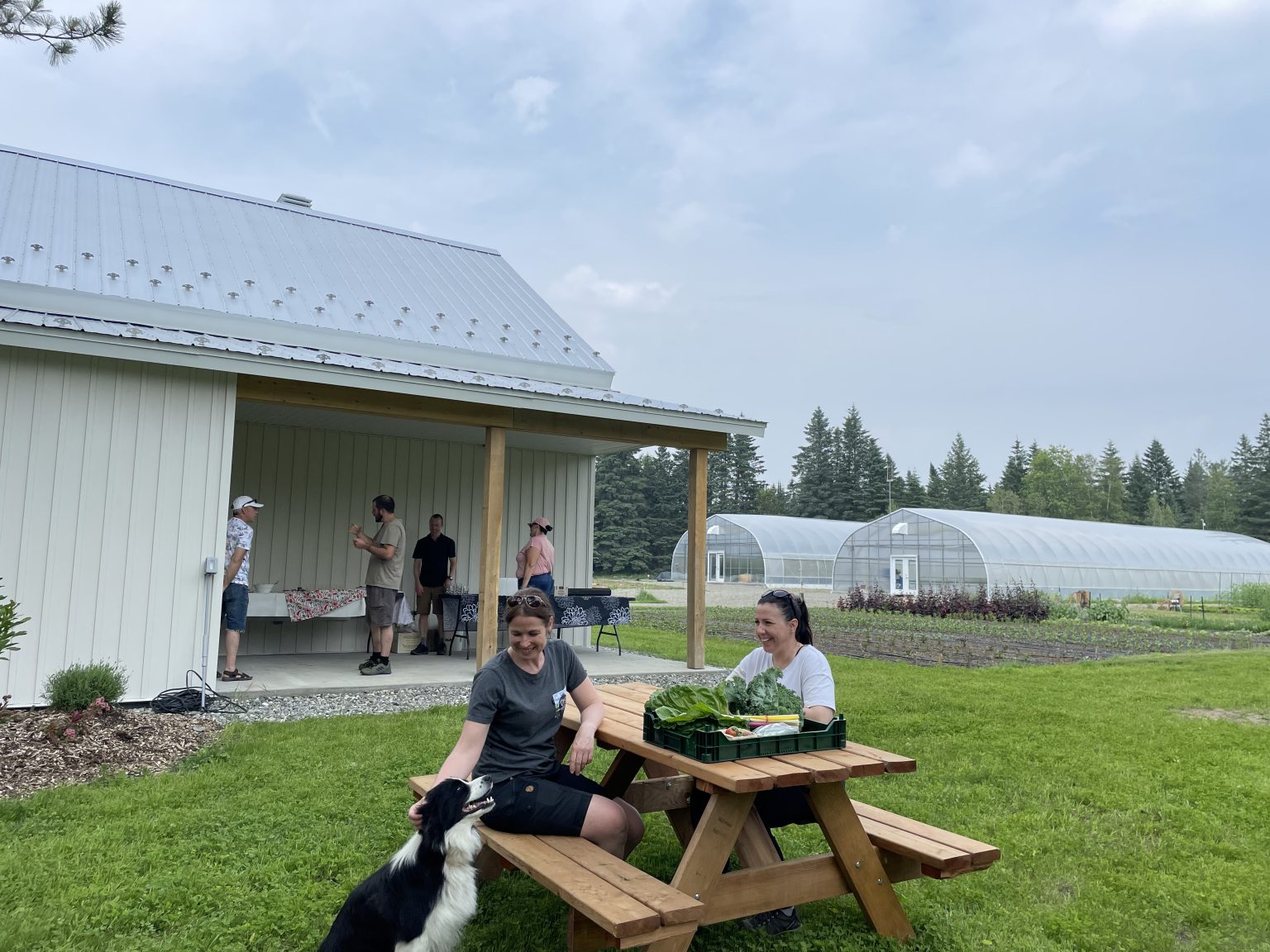 Ferme maraîchère Terre vivante inc. - Créateurs de saveurs - Cantons-de ...
