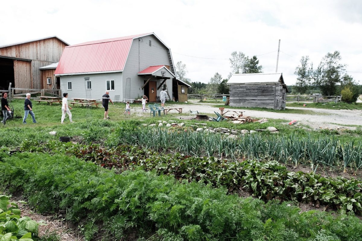 Ferme Sévigny - Créateurs de saveurs - Cantons-de-l'Est
