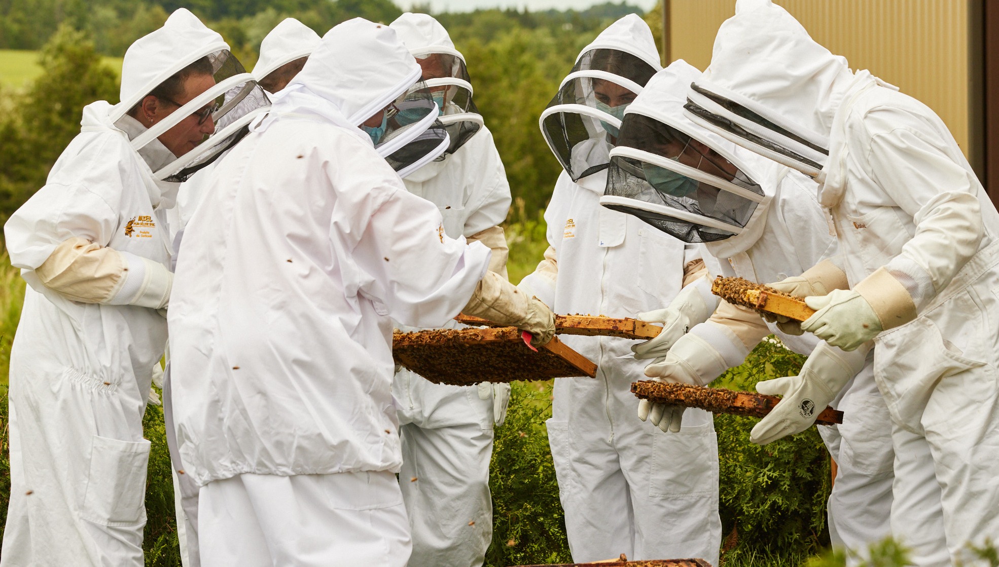 Miel Pur Délice : le goût du miel, la force de la résilience ...